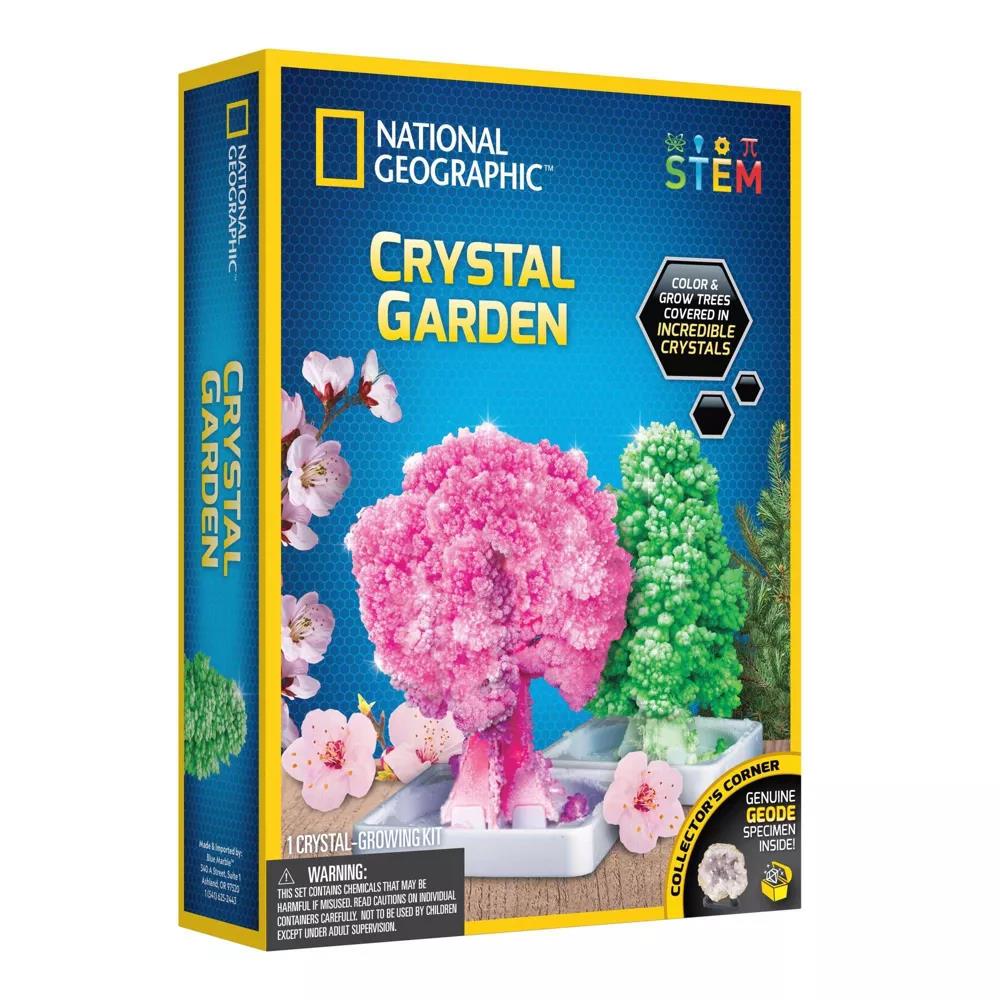 Crystal Garden Science Kit – LittleLeahCo